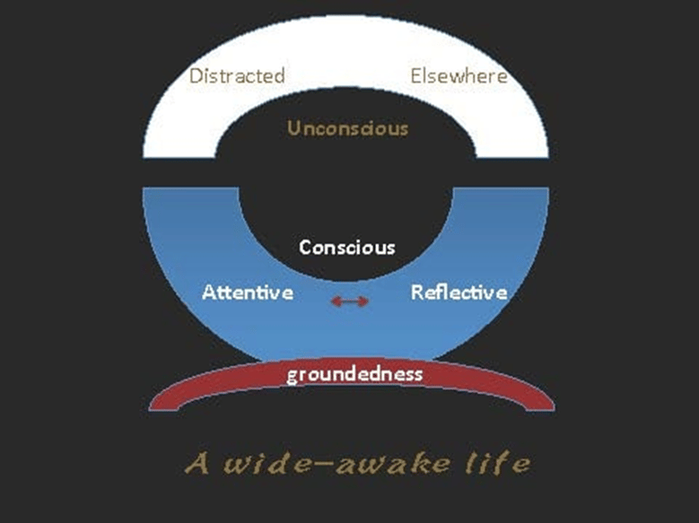 Living a wide-awake life. Hint: it helps you grow wisdom