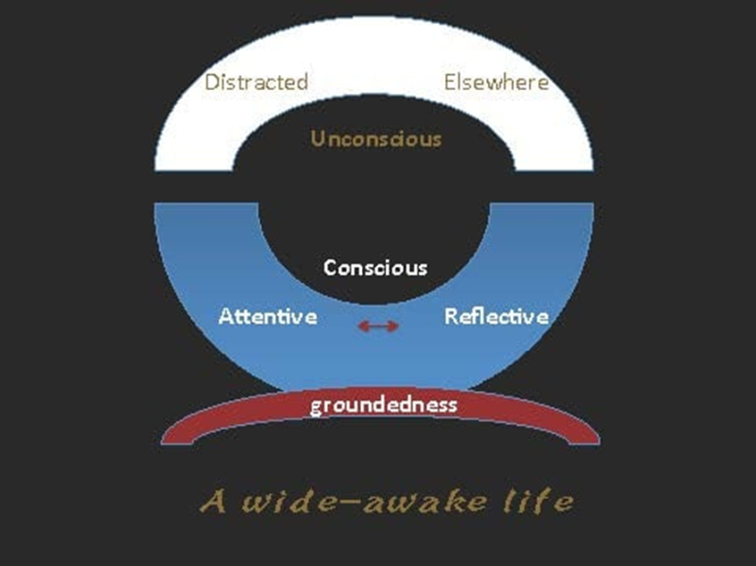 Living a wide-awake life. Hint: it helps you grow wisdom